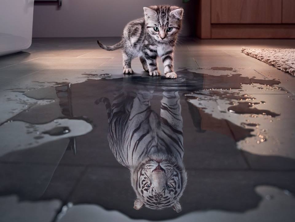 Autoimagen, la clave de la Personalidad | ～ Feldenkrais Barcelona ...